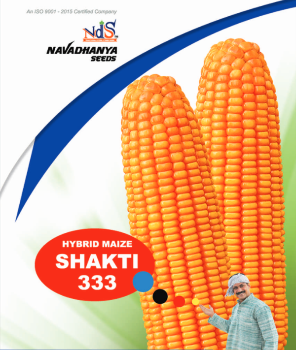 F1 HYBRID MAIZE – NAVADHANYA SEEDS