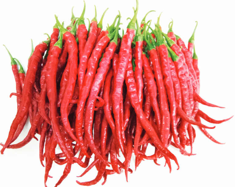 F1 HYBRID CHILLI – NAVADHANYA SEEDS